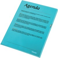 Insteekmap L-map Esselte standaard A4 PP blauw